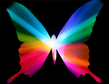 Flying Butterfly Gif Animation